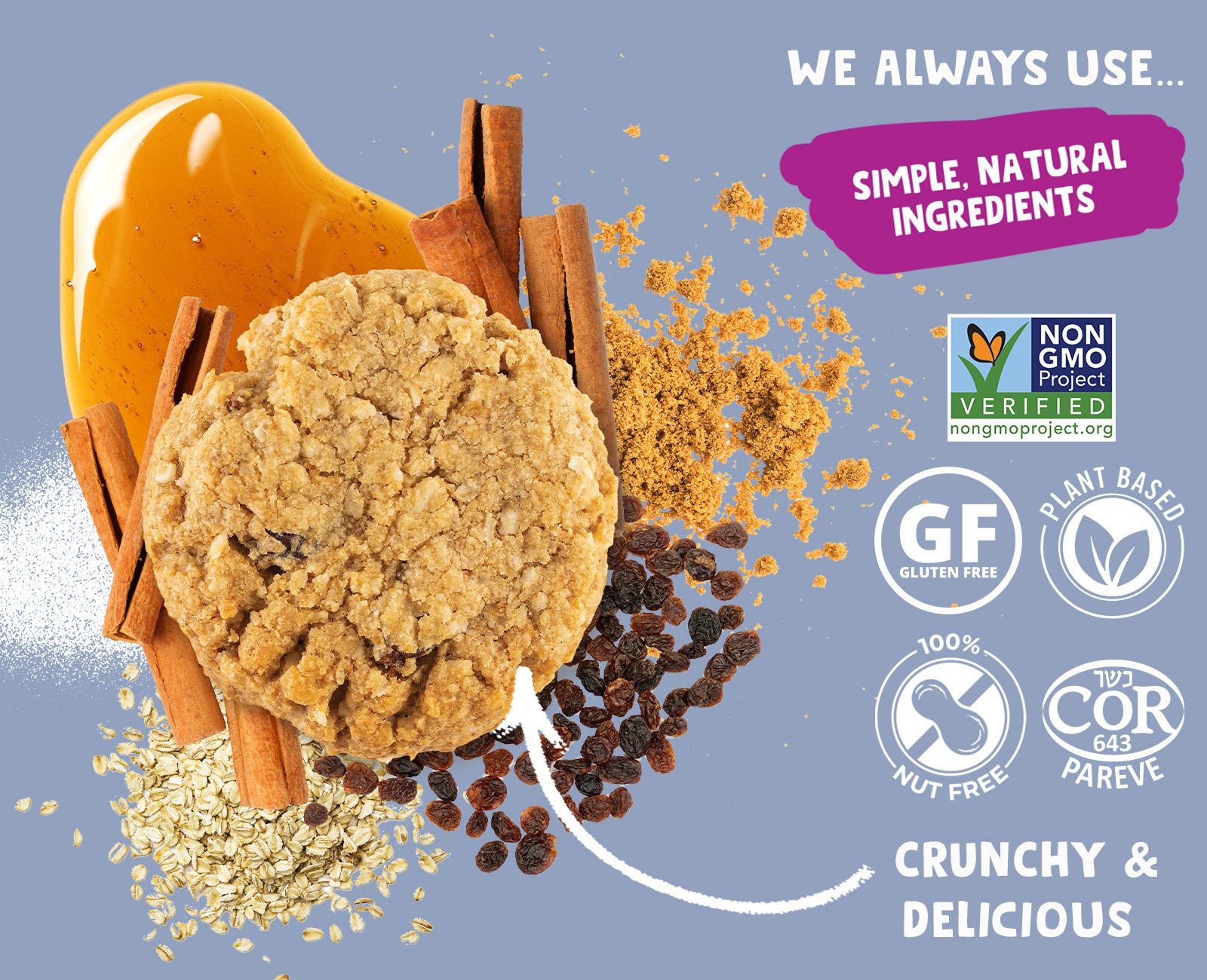 40 Individually Wrapped 2-Pack Cookies | Oatmeal Raisin– AllergySmart ...